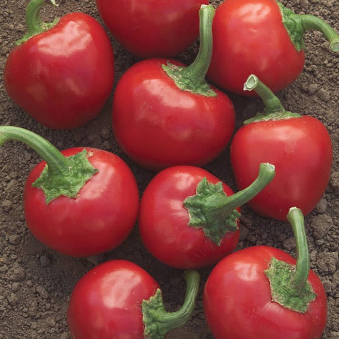 Green Valley Garden Centre – Selling great plants at reasonable prices.